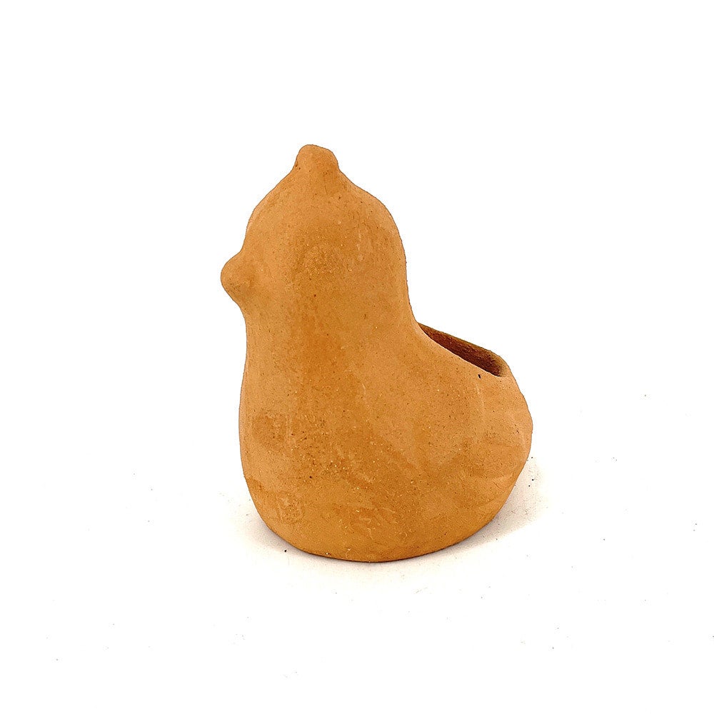 Terracotta Quail Pot | SarahCotta Plants