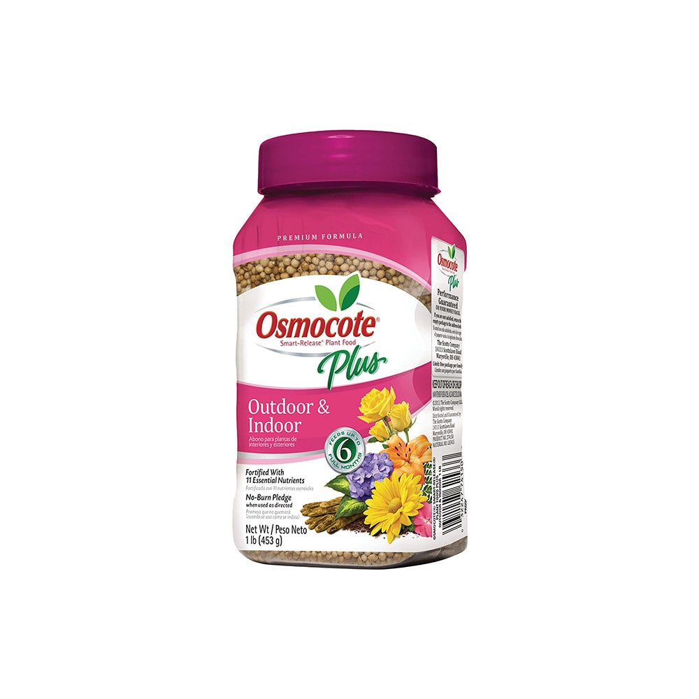 Osmocote Plus Slow Release Nutrients SarahCotta Plants Exotic Uncommon and Quirky Plants